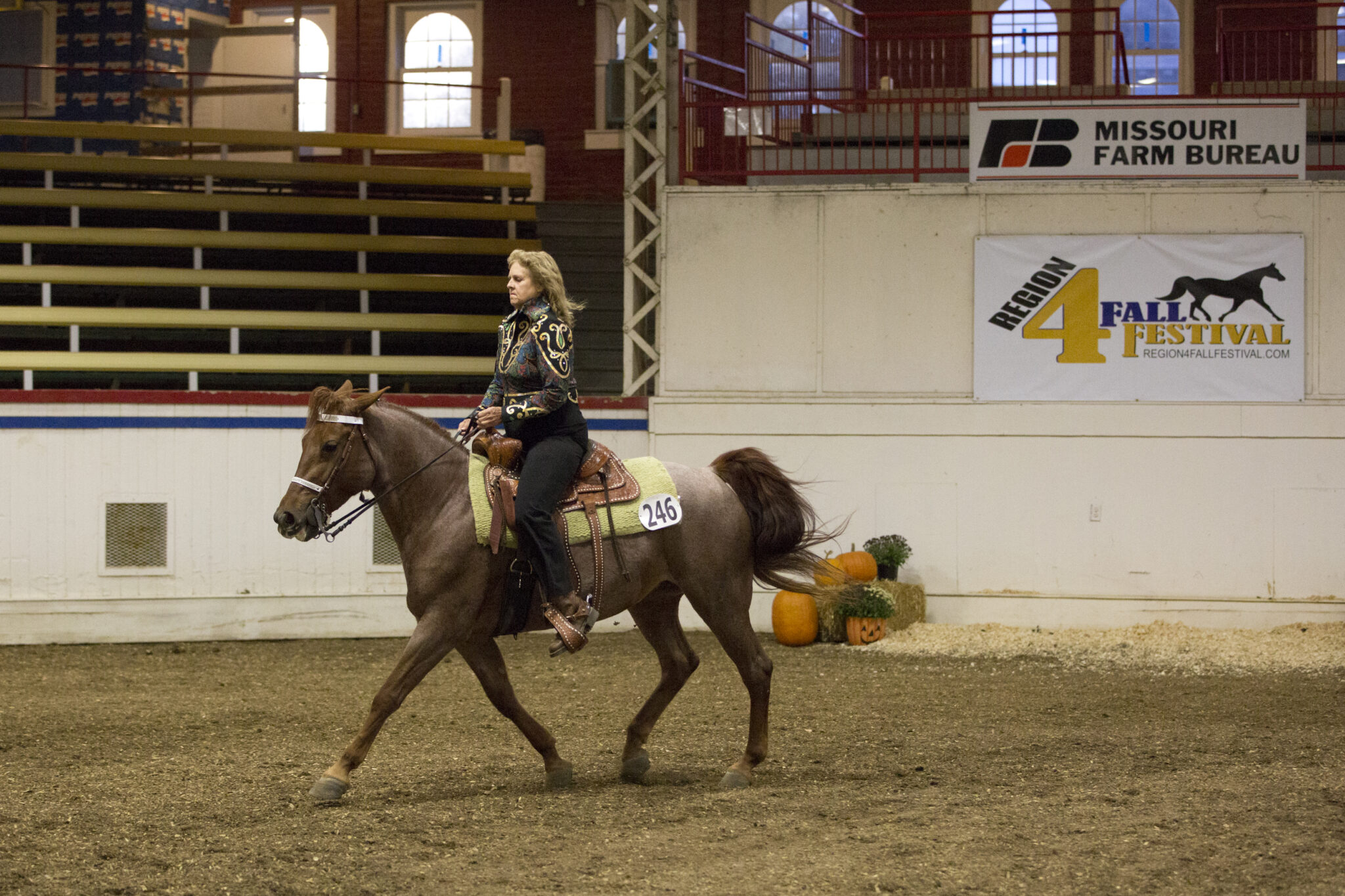 RFTH Foundation – For the love of our breed